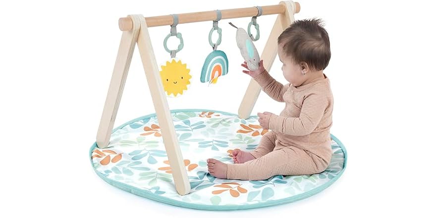 Sun Valley Wooden Toy Arch & Baby Play Mat