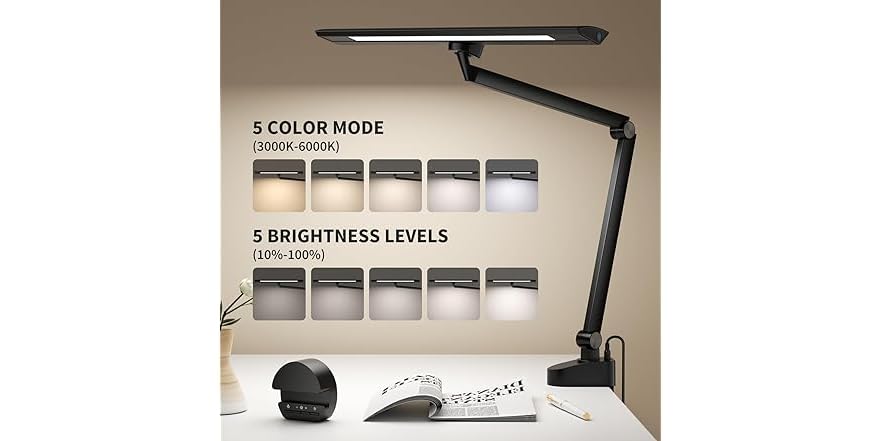 Kary LED Desk Lamp