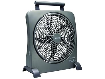 Treva 10" Smart Power Rechargable Fan