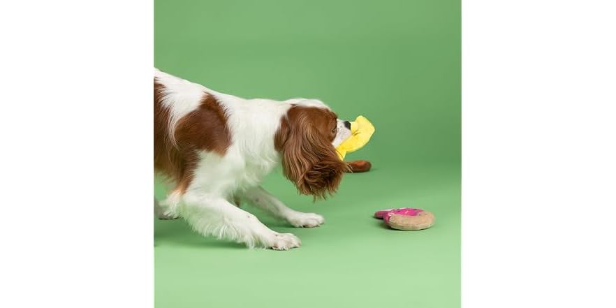 Fringe Studio Plush Dog Toy, 3 Pieces Set, Donuts