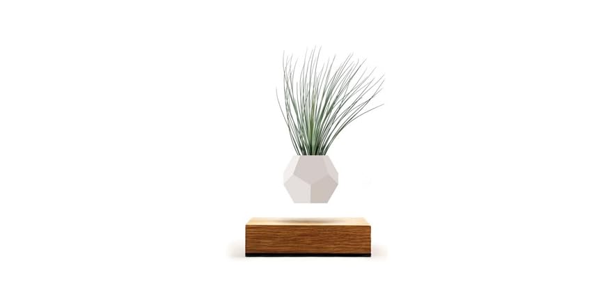 LYFE Levitating Plant Pot for Air Plants