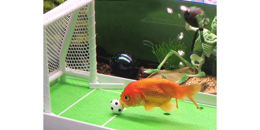 Fish School Training Kit