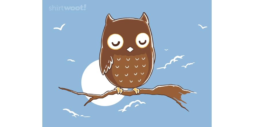 Nocturnowl