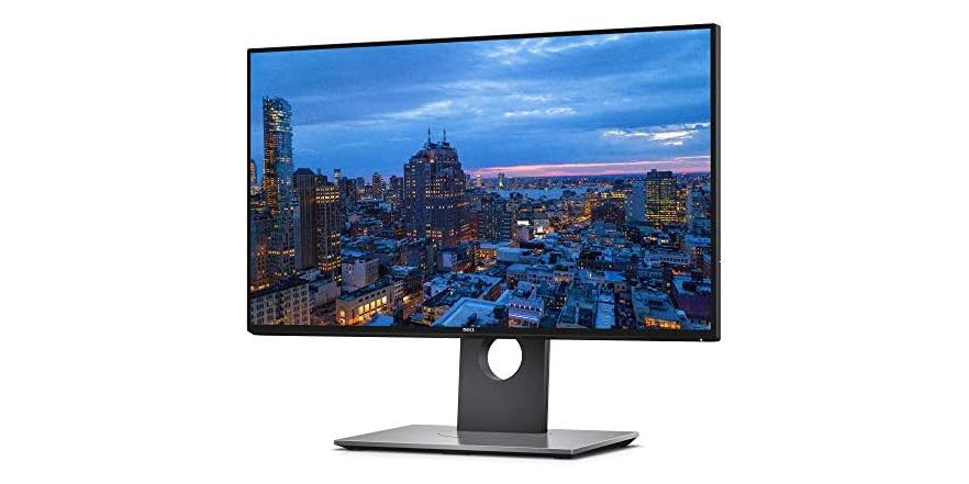 Dell U2417H UltraSharp 24 in Monitor