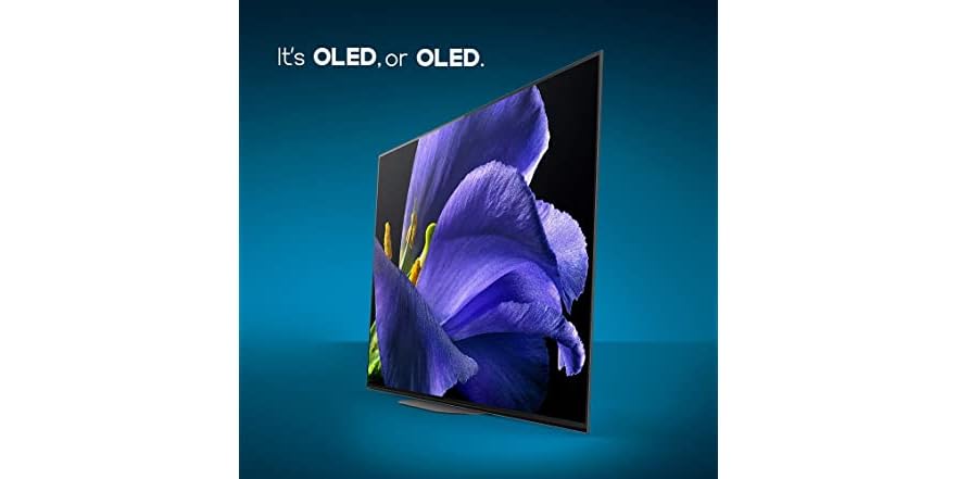 Sony MASTER A9G 65" Class HDR 4K UHD OLED TV