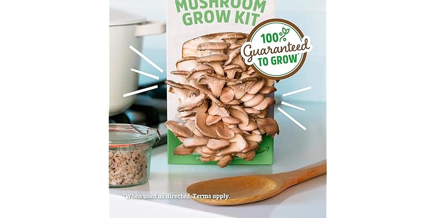Back to the Roots Organic Mushroom Grow Kit 3-Pack