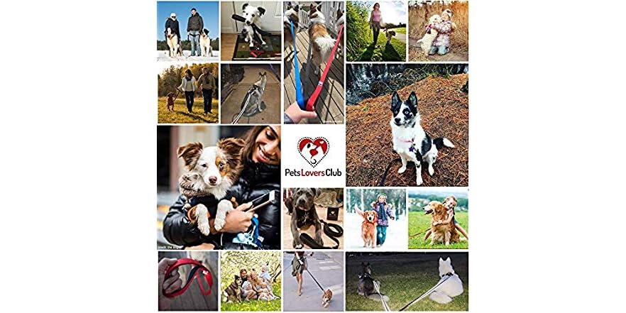 Dutchy Brand Pets Lovers Club Dog Leash