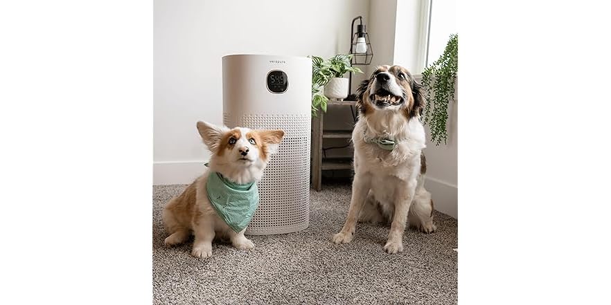 Verapure VP-300-WI Wi-Fi enabled HEPA Air Purifier