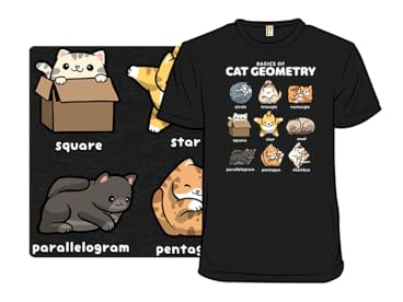 Cat Geometry