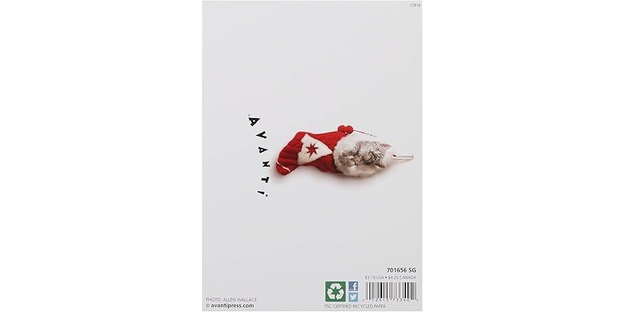 Avanti Press Christmas Cards, Stocking Full of Kittens, 10 Count