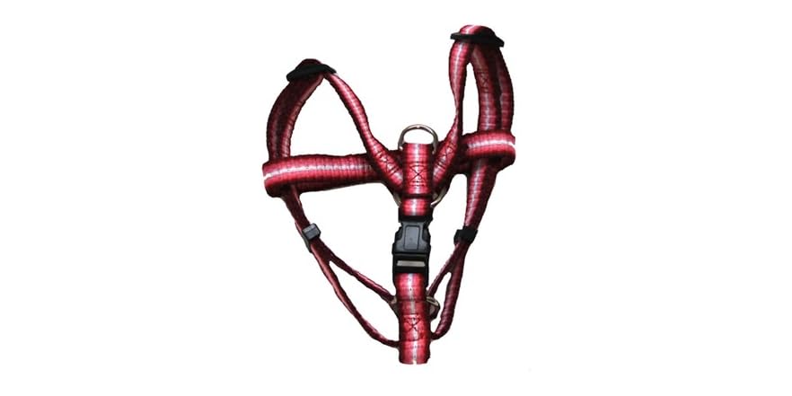 Rainbow Harness 4 Sizes, 4 Colors