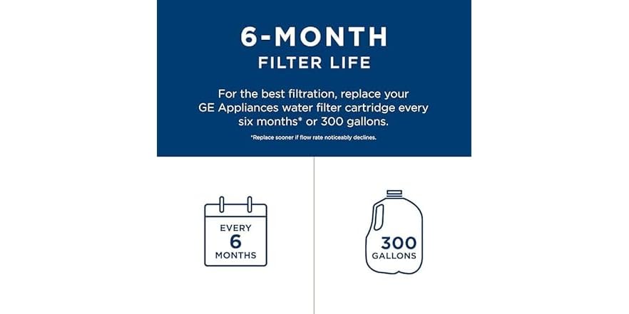 GE RPWFE Genuine Replacement Filter 2pk