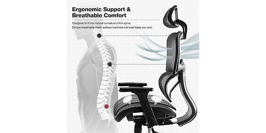 Ergonomic High Back Office Chair
