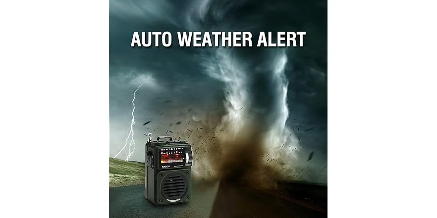 Raddy RF750 Portable Shortwave Radio