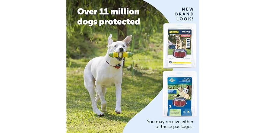 PetSafe Stubborn Dog Stay Collar