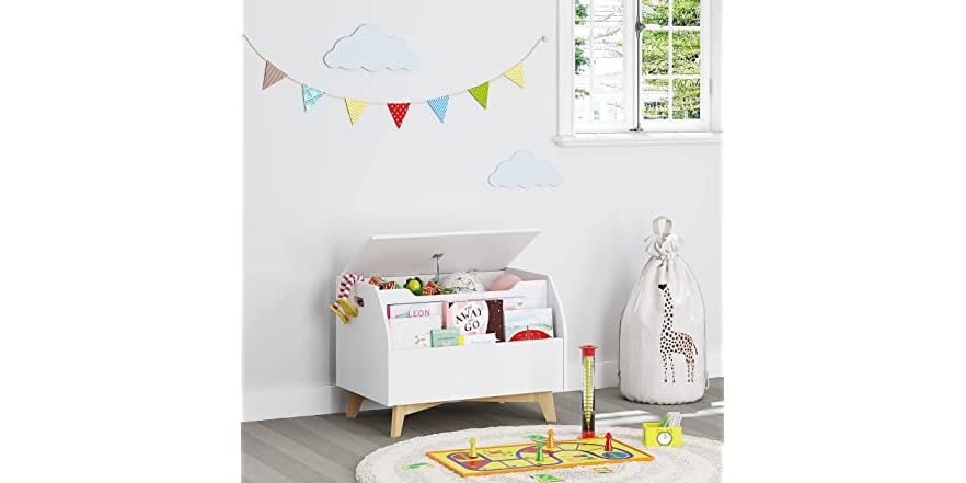 Children Toy Box