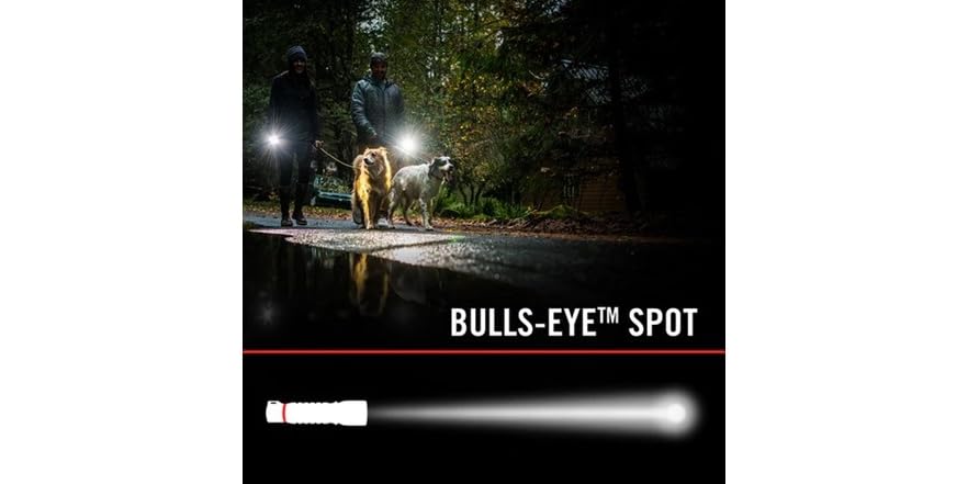 COAST G25 350 Lumen Dual Power Flashlight