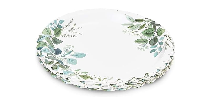 48 Pack Scalloped Paper Plates