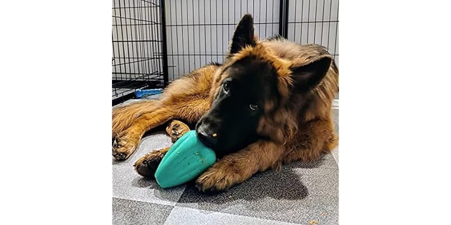 Chew King Rubber Premium Treat Dog Toy, XL