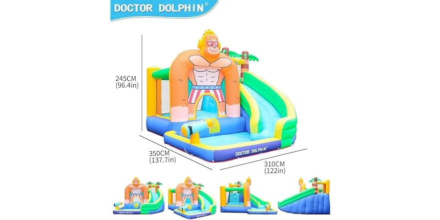 Doctor Dolphin Inflatable Water Slide
