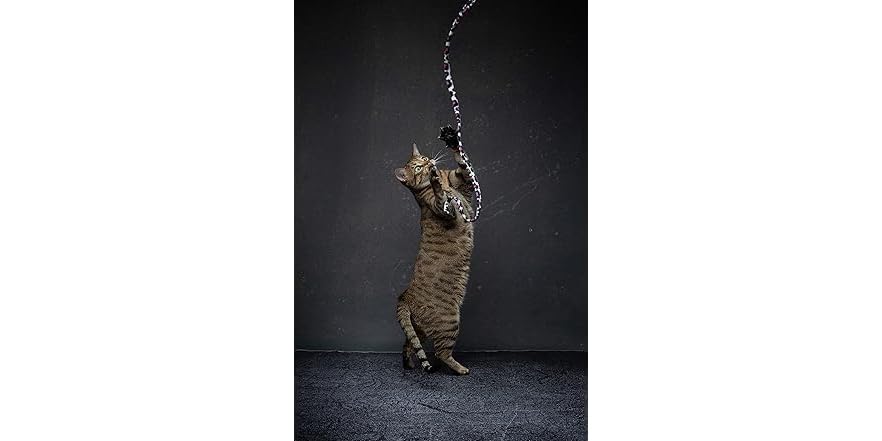 CAT DANCER Jungle Cat Wand (Pack of 2)