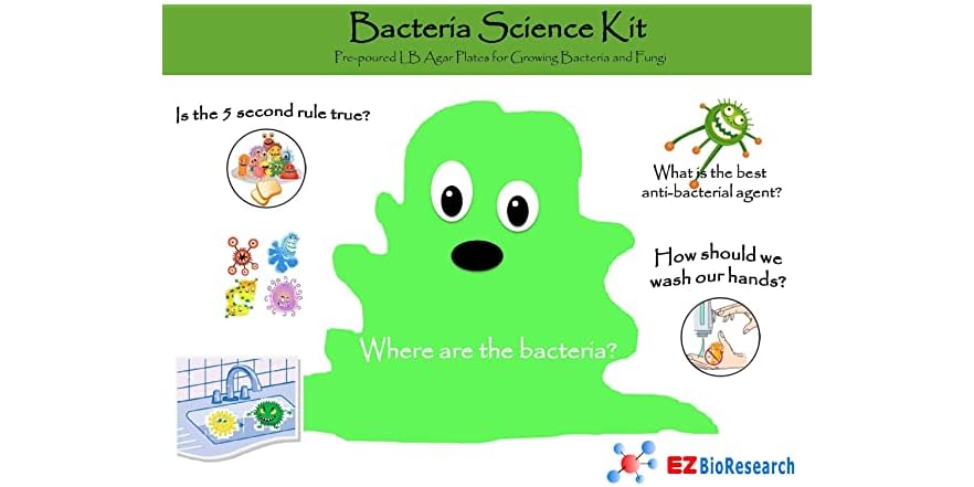 EZ BioResearch Bacteria Science Kit (IV)