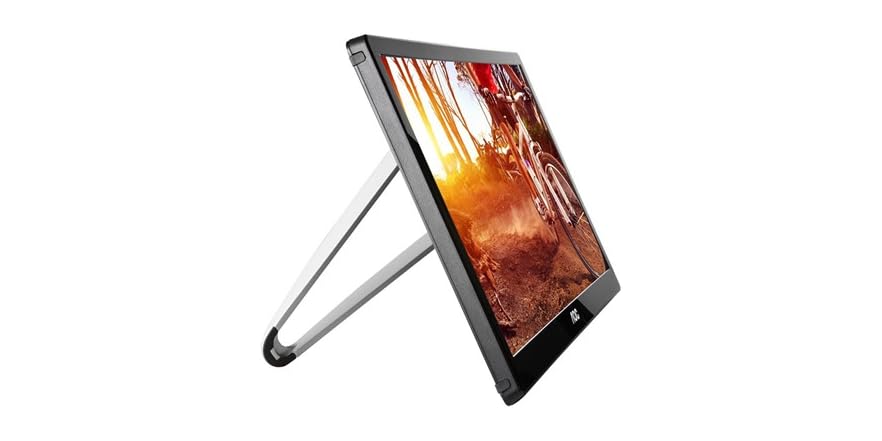 16" USB-Powered Portable LED Monitor