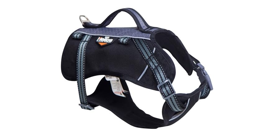 Helios Convertible Backpack