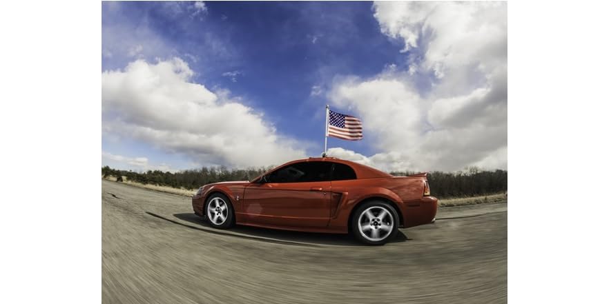 Beast Car Flag Roof Mountable Flagpole System