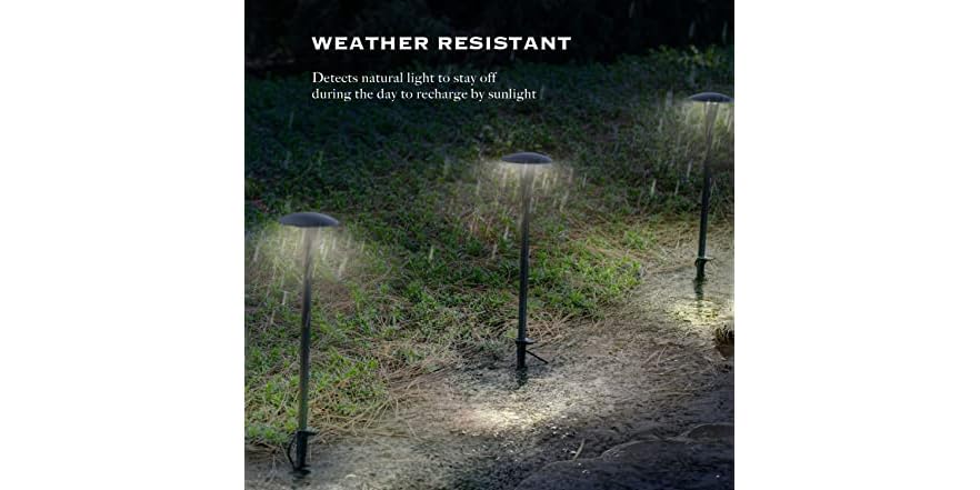 Outdoor LED Landscape Pathway Light