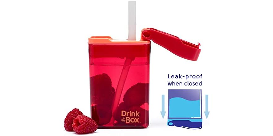 Reusable Drink and Juice Box Container