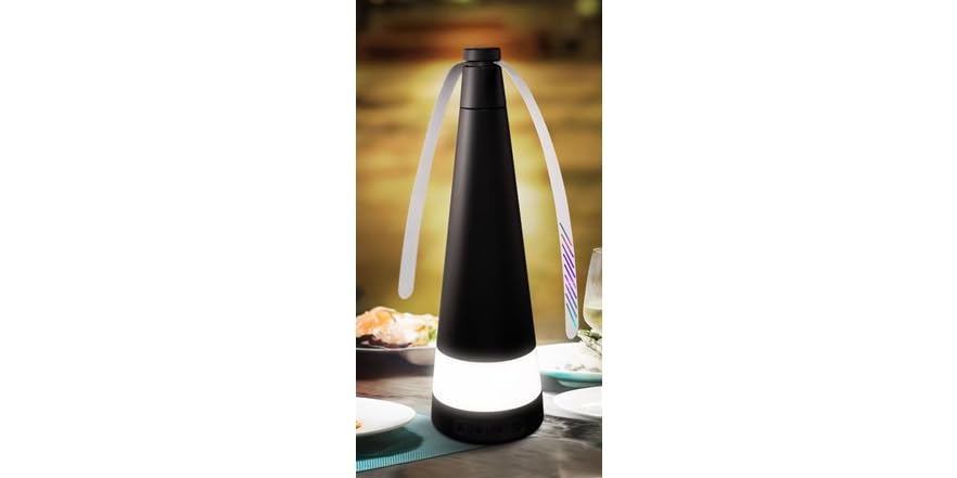 3P Experts Multifunctional Bug Fan