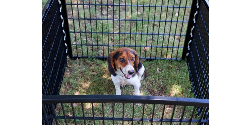 4 Panel Plastic Play Pen - Black