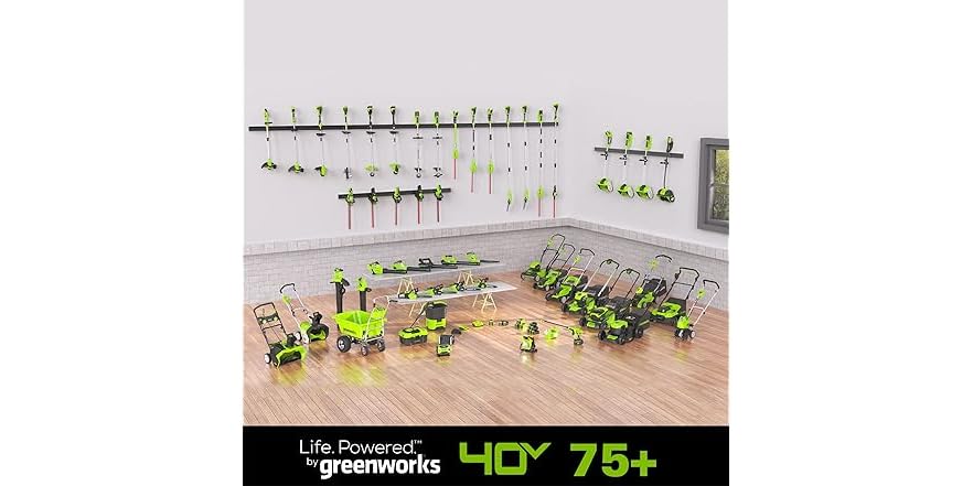 Greenworks 40V 12" Cordless Compact Chainsaw