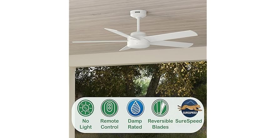 (Refurbished) Hunter Fan 52" White Indoor/Outdoor