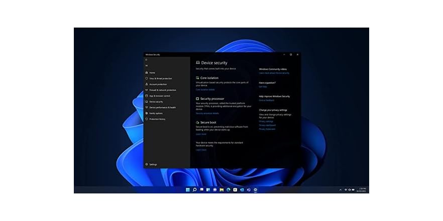 Microsoft Windows 11 Home or Pro (Your Choice)