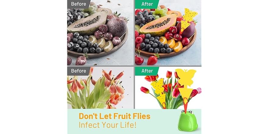 Fruit Fly Sticky Traps, 2 Pack