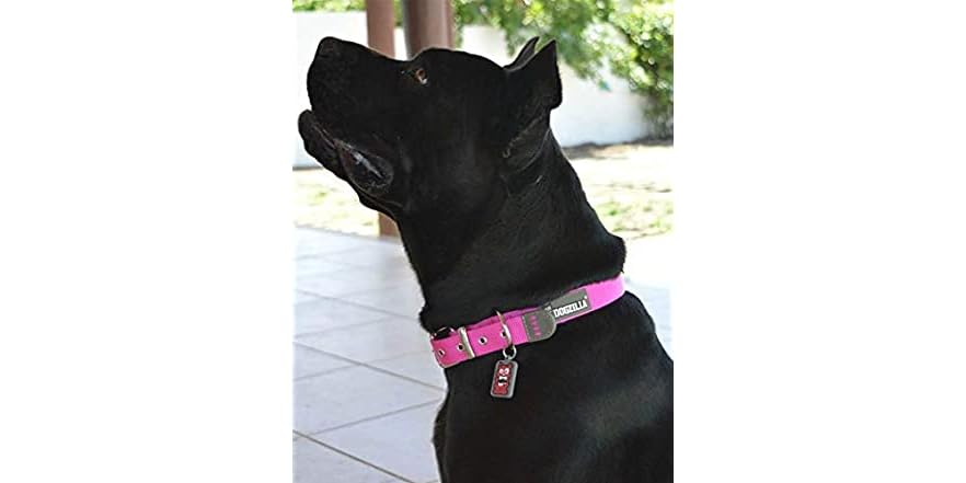 Petmate Dogzilla Large Collar