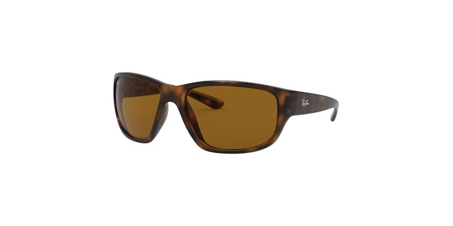 Ray-Ban Unisex Rb4300 Sunglasses