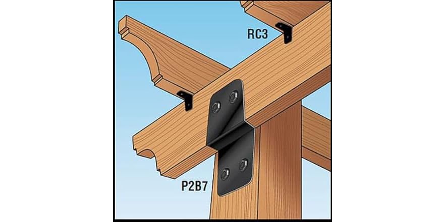 Nuvo Iron 2" Black Rafter Clips, 12 Pack