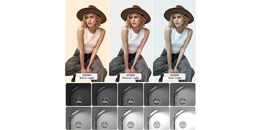 10'' Desk Ring Light