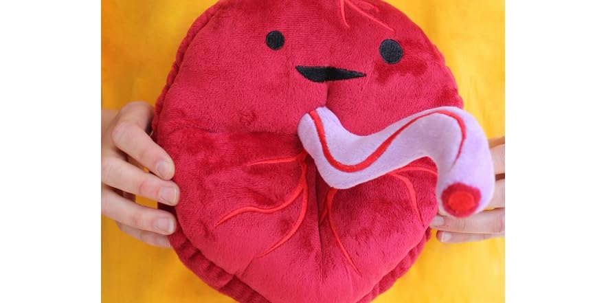 Baby's First Roomate (Placenta)