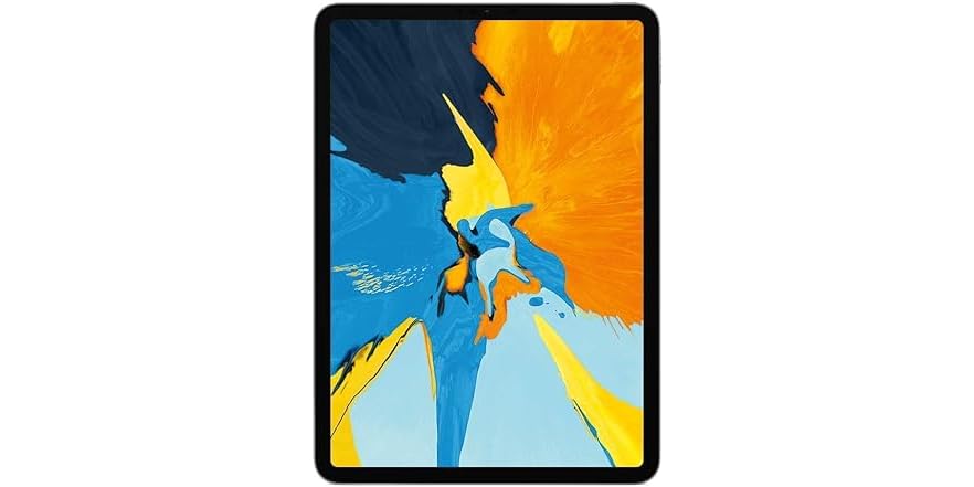 Apple iPad Pro (11-inch, Wi-Fi, 64GB) - Space Gray (2018) (Renewed ...