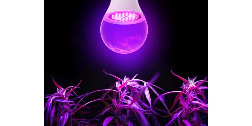 Glow & Grow Indoor Garden Kit
