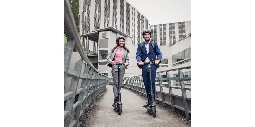 Segway Ninebot G30P Electric Kick Scooter