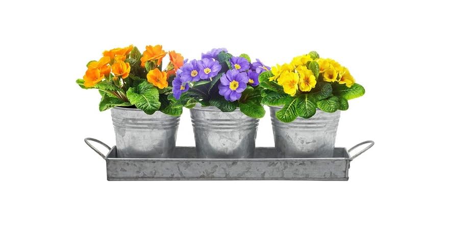 Flower Pot and Tray Set