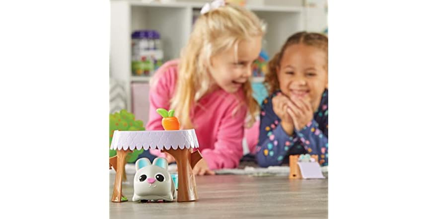 Interactive STEM Coding Pet