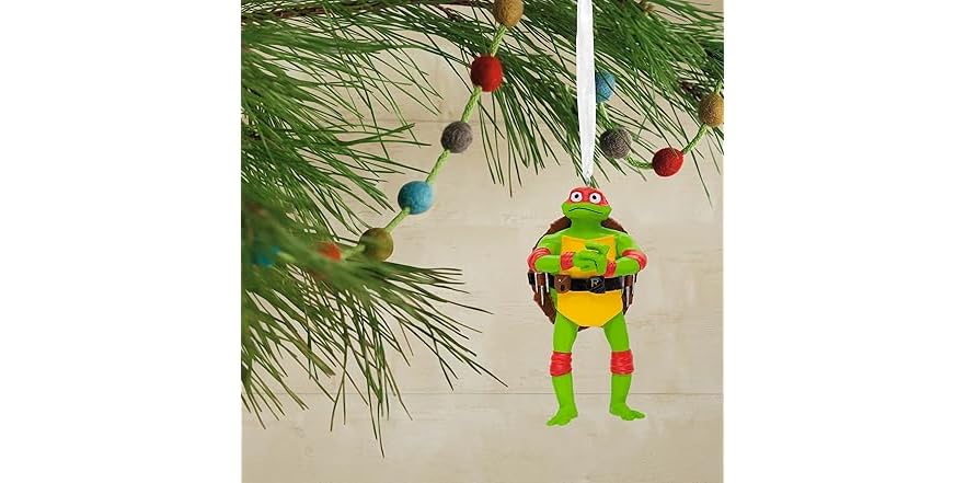Hallmark Teenage Mutant Ninja Turtles