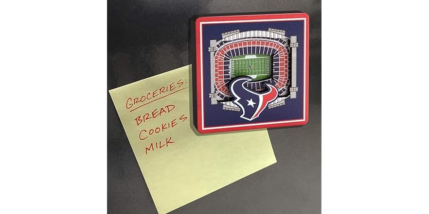 TEXANS Stadium Magnets