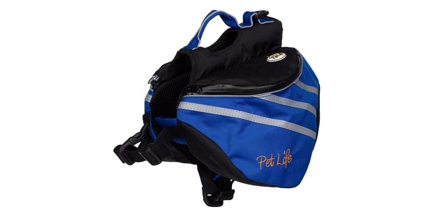 Everest Dupont Backpack - Blue